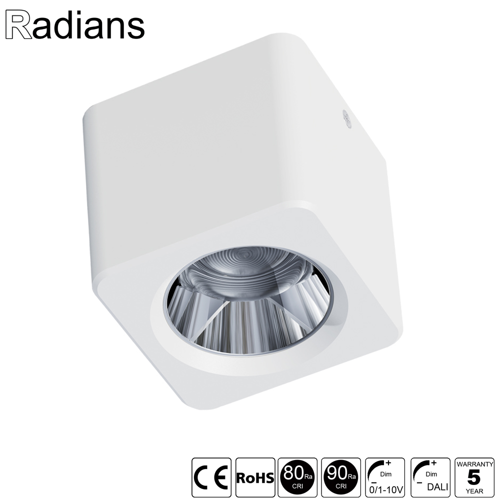 Energy-Efficient Surface Mounted Downlights | 50,000hr Lifespan, CE ...